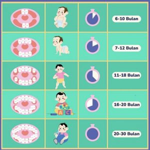 Cara Mengenal Pertumbuhan Gigi Bayi