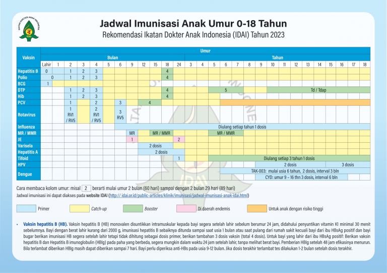 Jadwal Vaksinasi Anak IDAI Terbaru 2023 - imuni