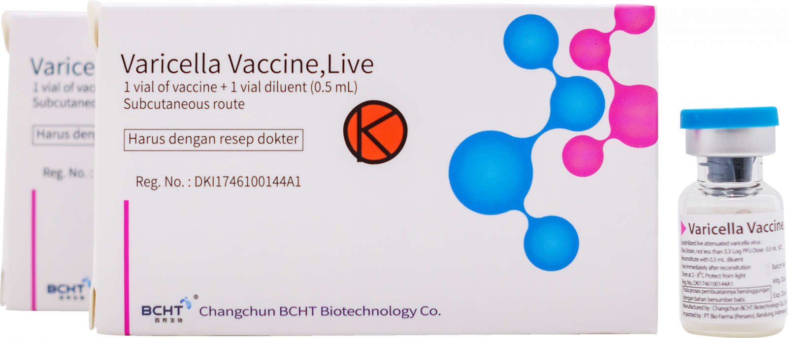 Varicella Virus Life Cycle